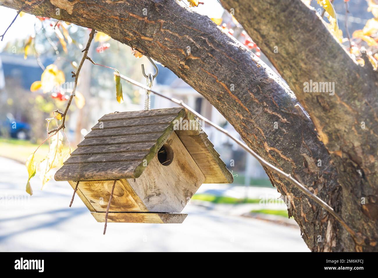 A small birdhouse hanging on a tree in the late fall sunlight Stock ...