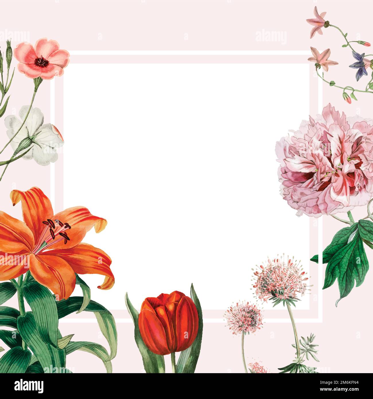 Colorful vintage floral design frame Stock Vector Image & Art - Alamy