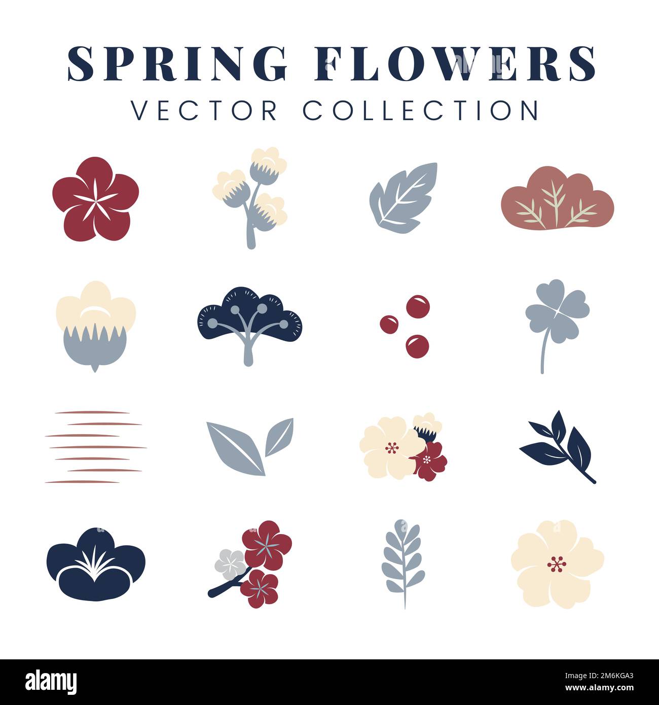 Colorful spring flowers vector collection Stock Vector Image & Art - Alamy