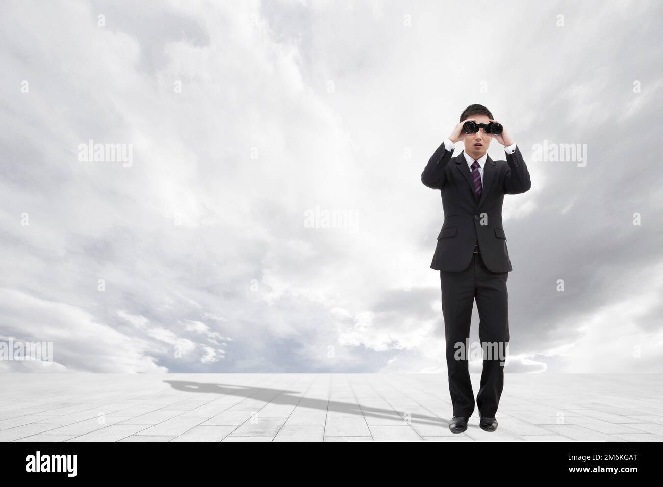 The business man Stock Photo - Alamy