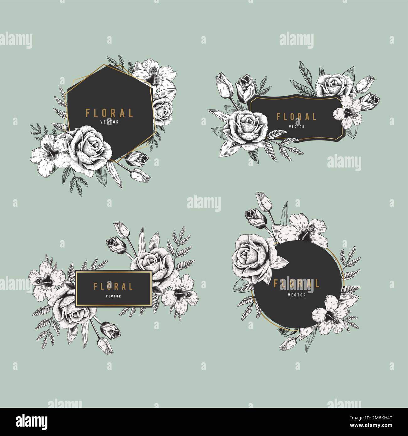 Blank hand drawn floral frames vector set Stock Vector Image & Art - Alamy