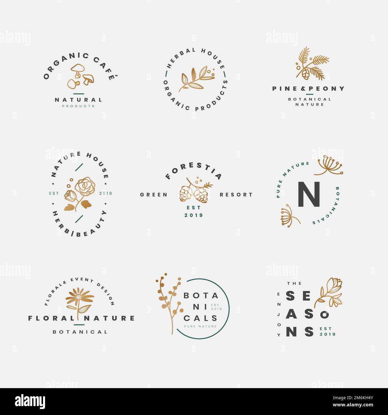 Botanical vectors hi-res stock photography and images - Alamy