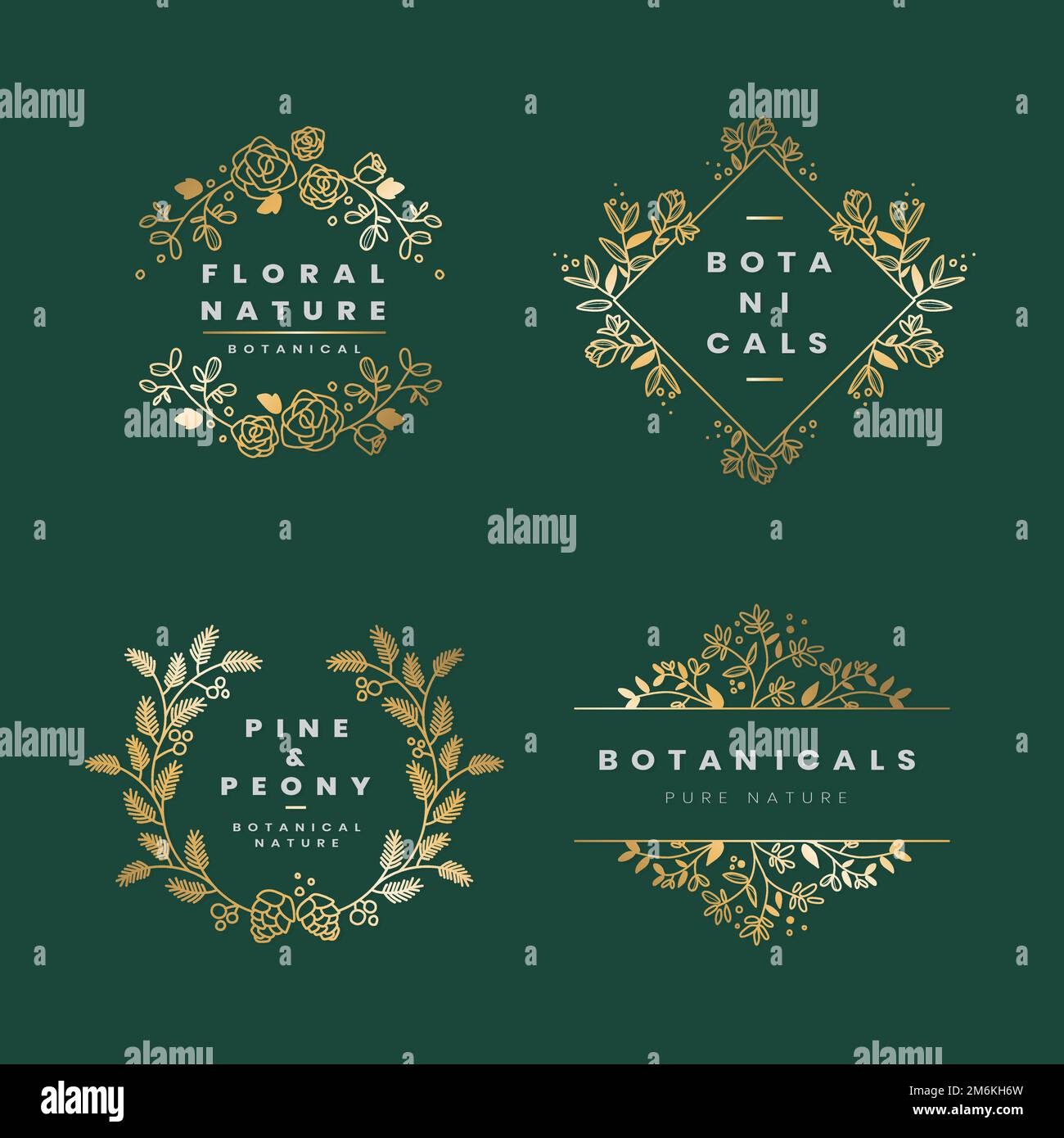 Set of floral botanical frame vectors Stock Vector Image & Art - Alamy