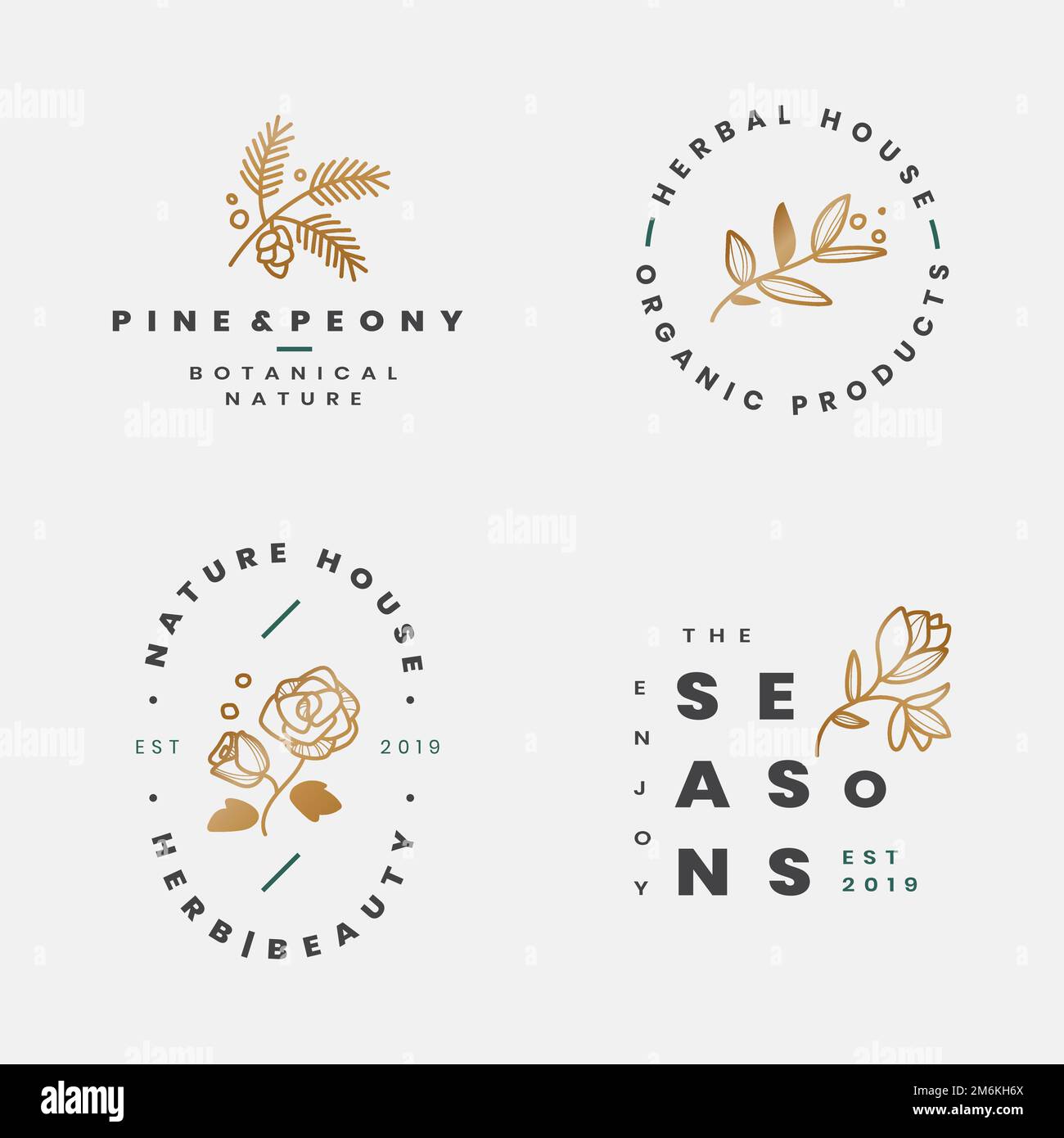 Set of floral botanical vectors Stock Vector Image & Art - Alamy