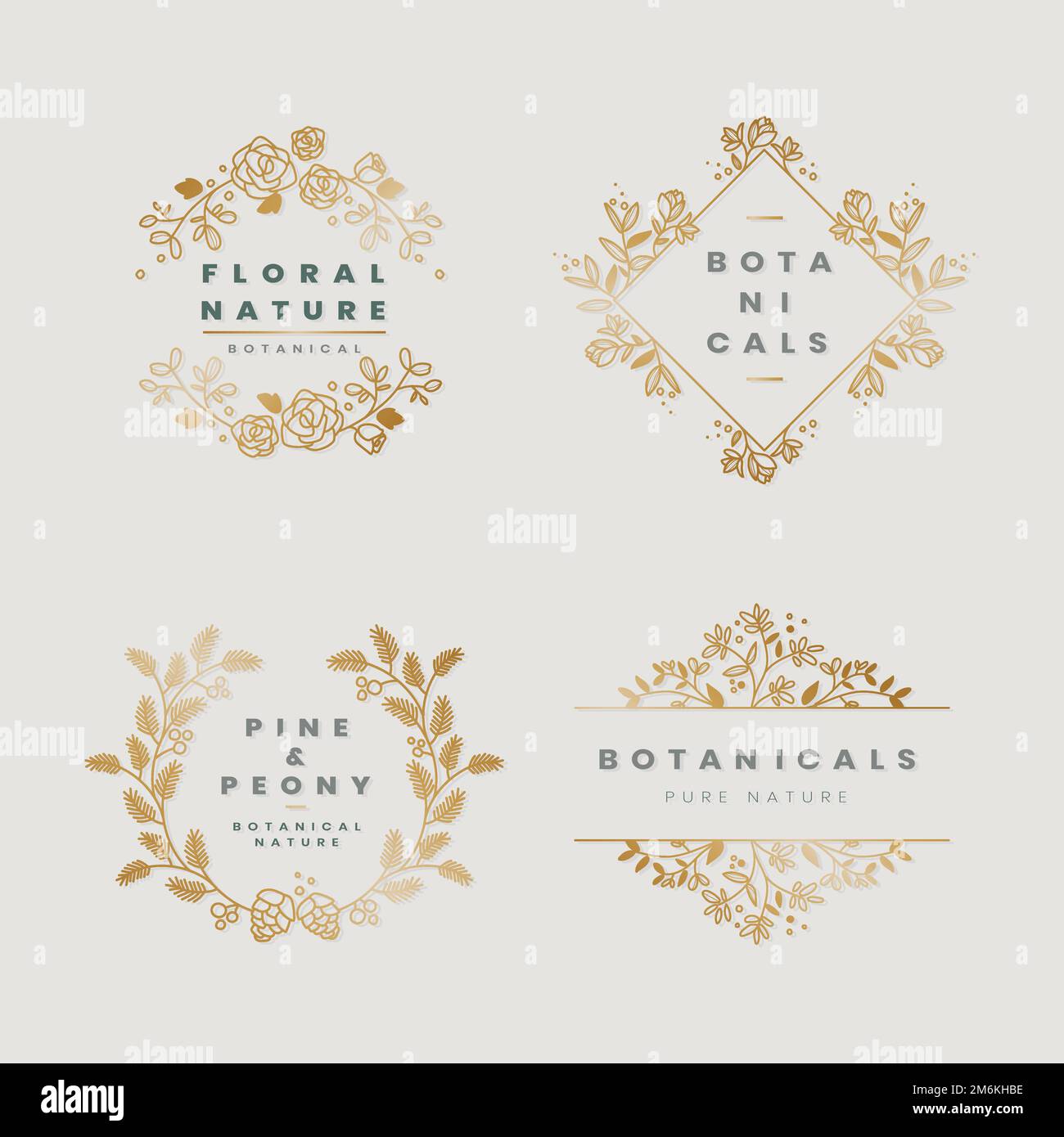 Botanicals vector vectors hi-res stock photography and images - Alamy