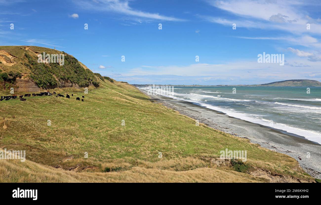 Pasture on Te Waewae Bay - New Zealand Stock Photo - Alamy