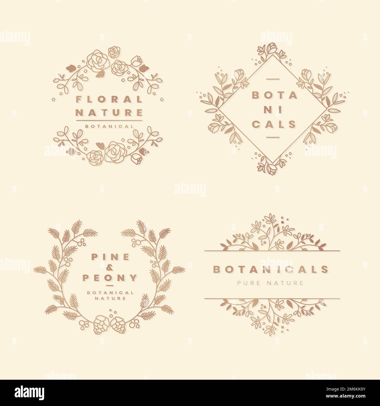 Set of floral botanical frame vectors Stock Vector Image & Art - Alamy