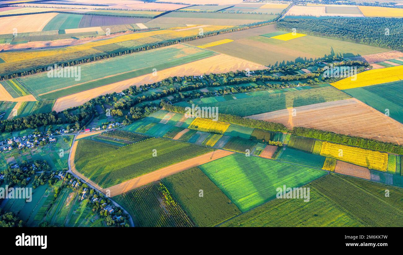 Agricultural fields with various crops. Summer landscape. View from a ...