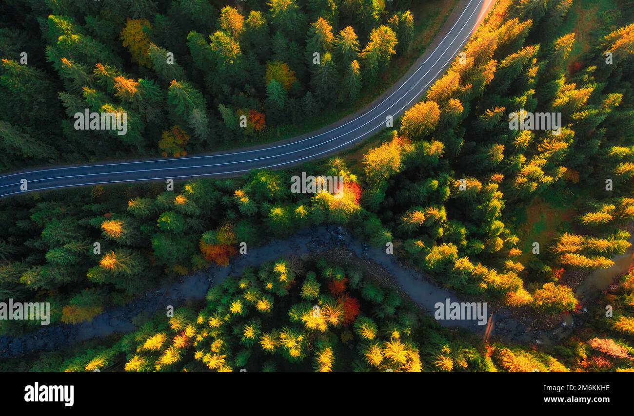 Autumn forest, yellow red and green trees. View from above. Abstract ...