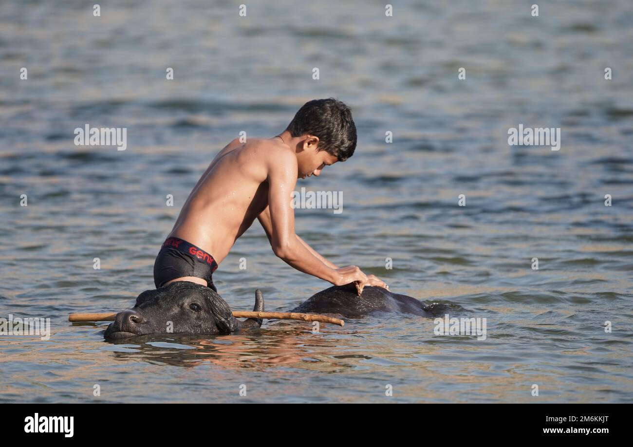 KACHANDA Village, CHHATTISGARH, INDIA, November 14 2022: An Indian boy ...