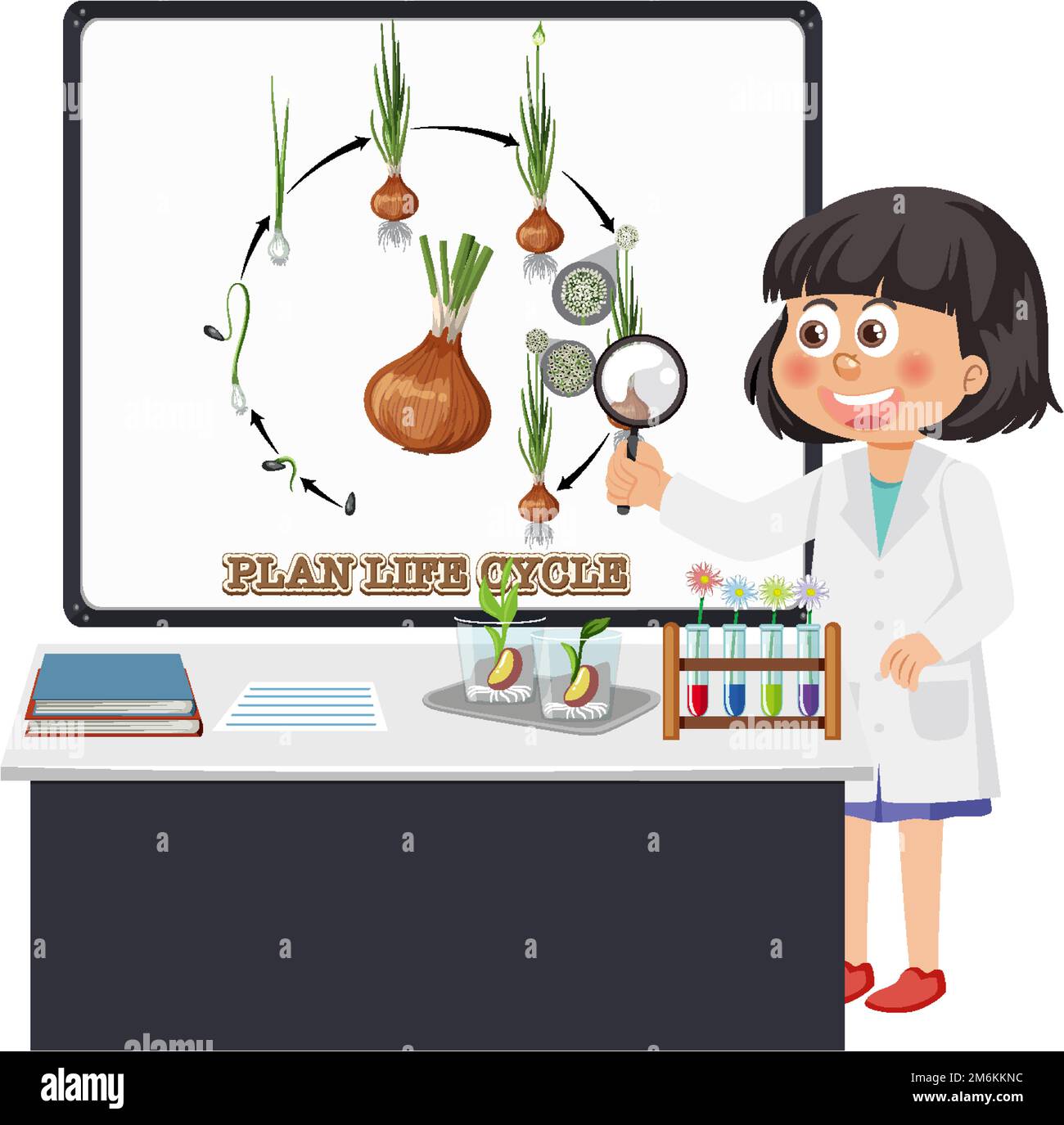 Kid explaining parts of a plant illustration Stock Vector Image & Art ...