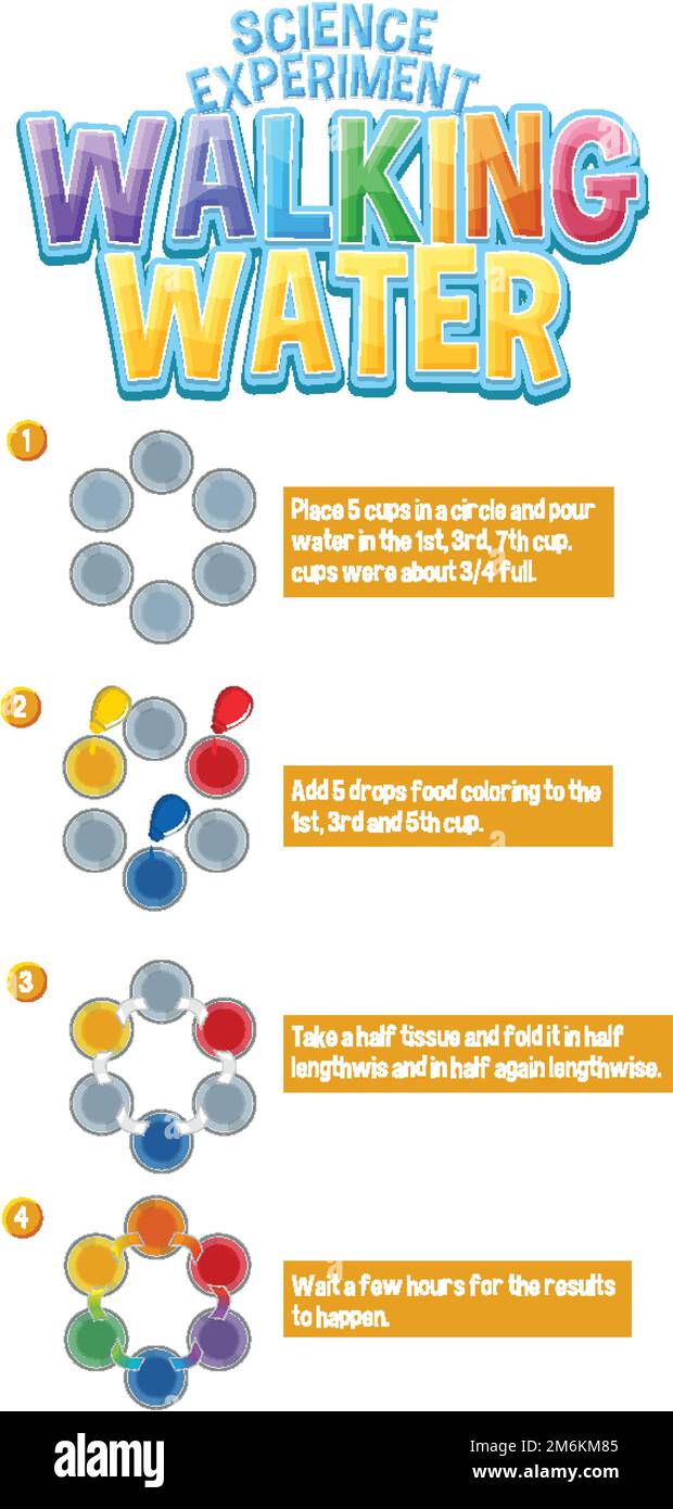 Walking water science experiment illustration Stock Vector Image & Art ...