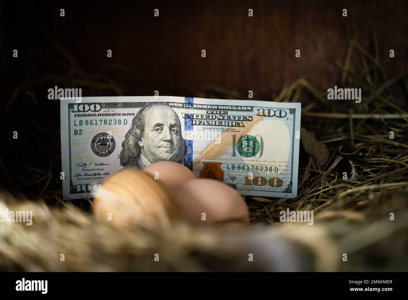 Cash in a chicken nest with homemade eggs close up. One hundred us ...
