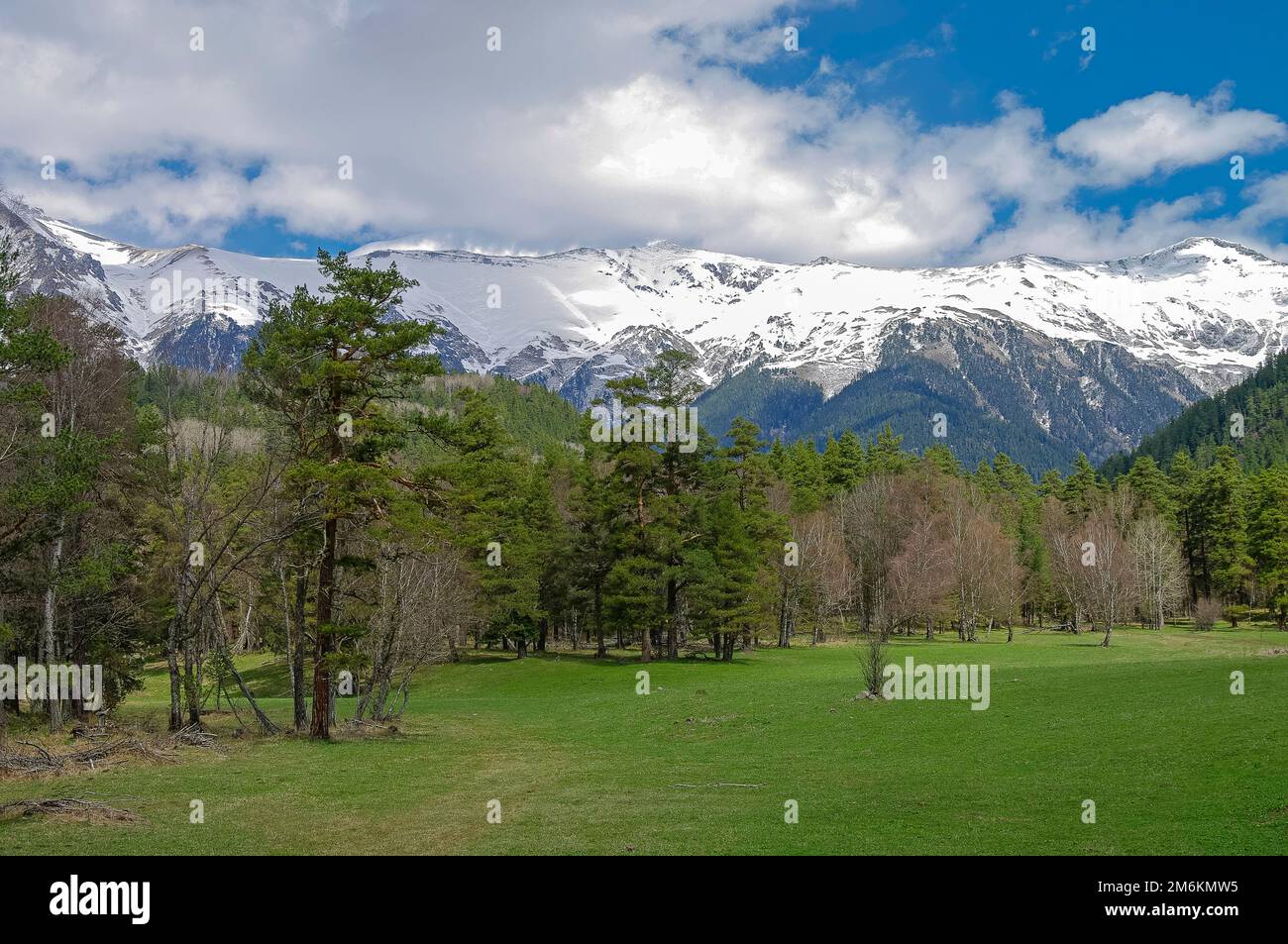 Beautiful spring landscape mountains pine hi-res stock photography and ...