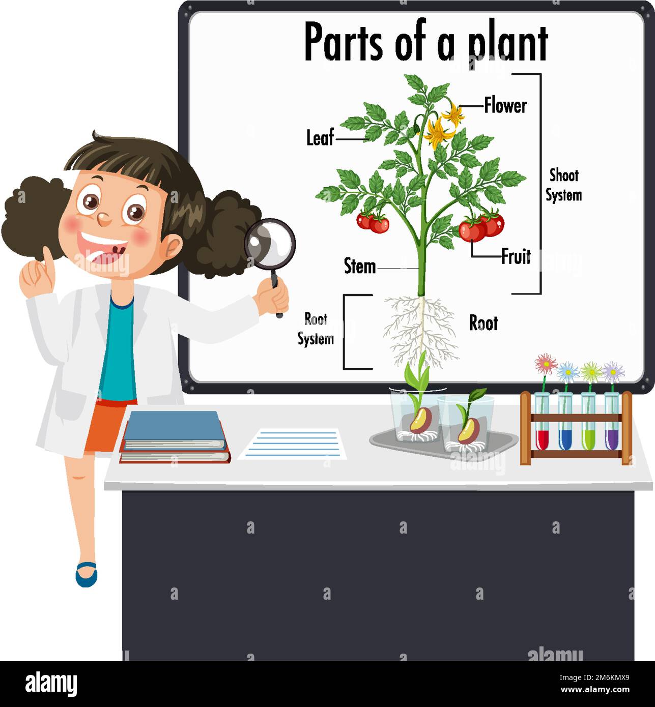 Kid explaining parts of a plant illustration Stock Vector Image & Art ...