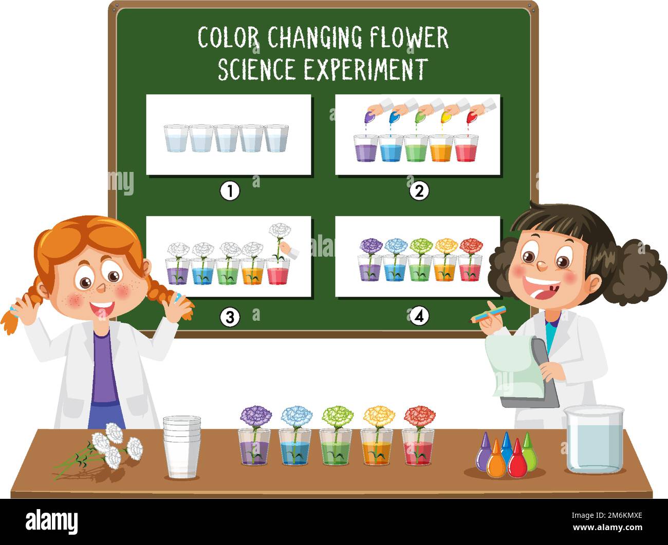 Student explaining color changing flower science experiment ...