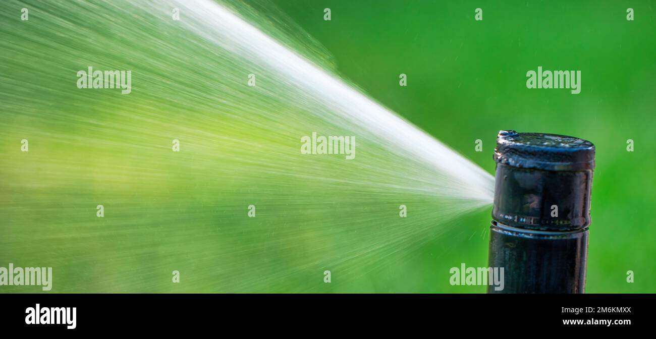Automatic lawn watering system, watering the lawn in the backyard Stock ...