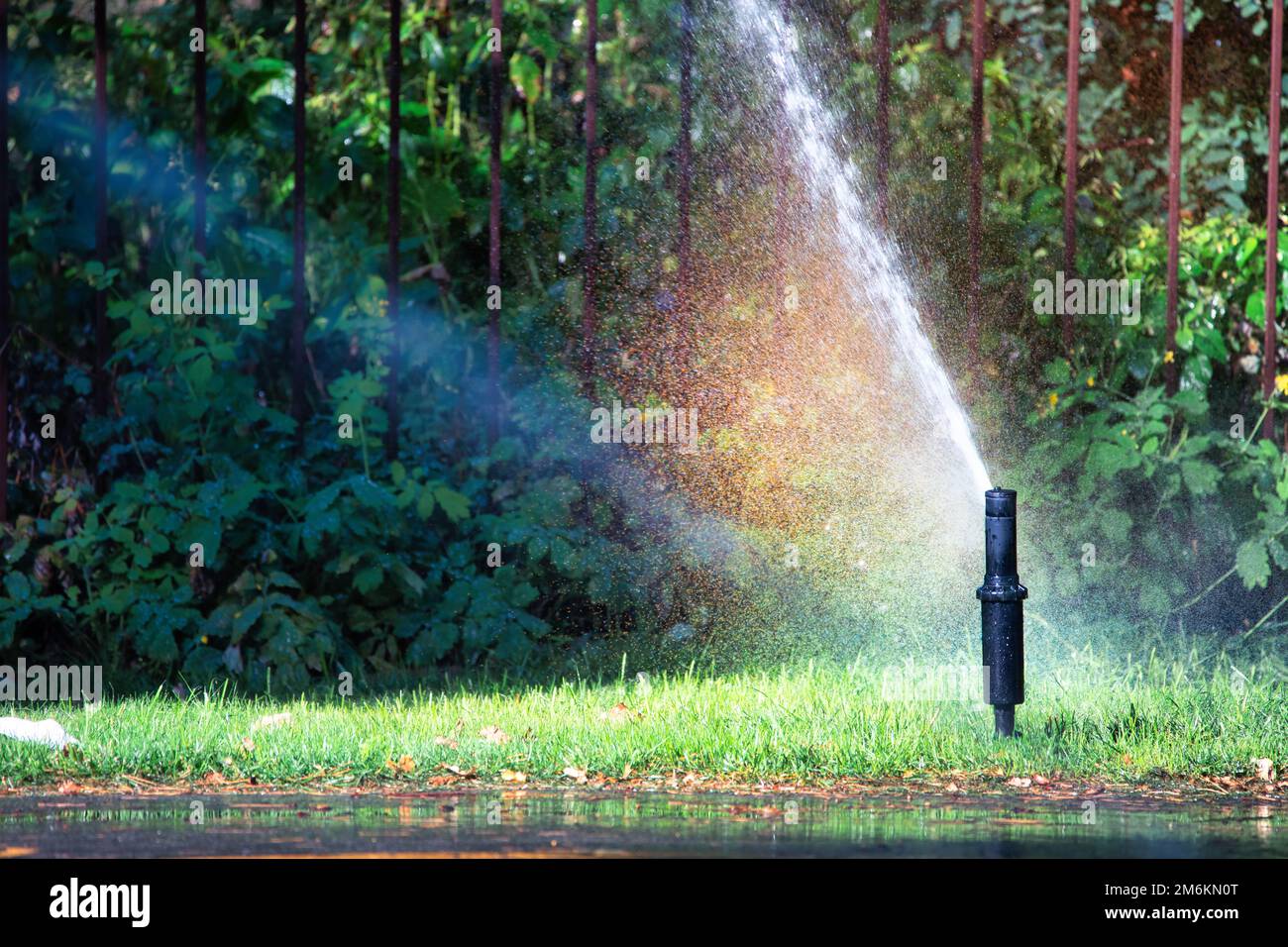 Automatic lawn watering system, watering the lawn in the backyard Stock ...