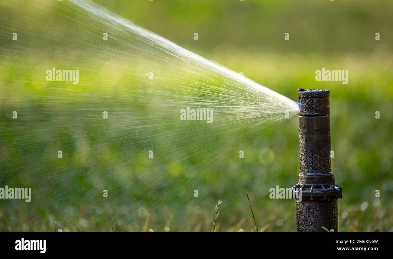 Automatic lawn watering system, watering the lawn in the backyard Stock ...