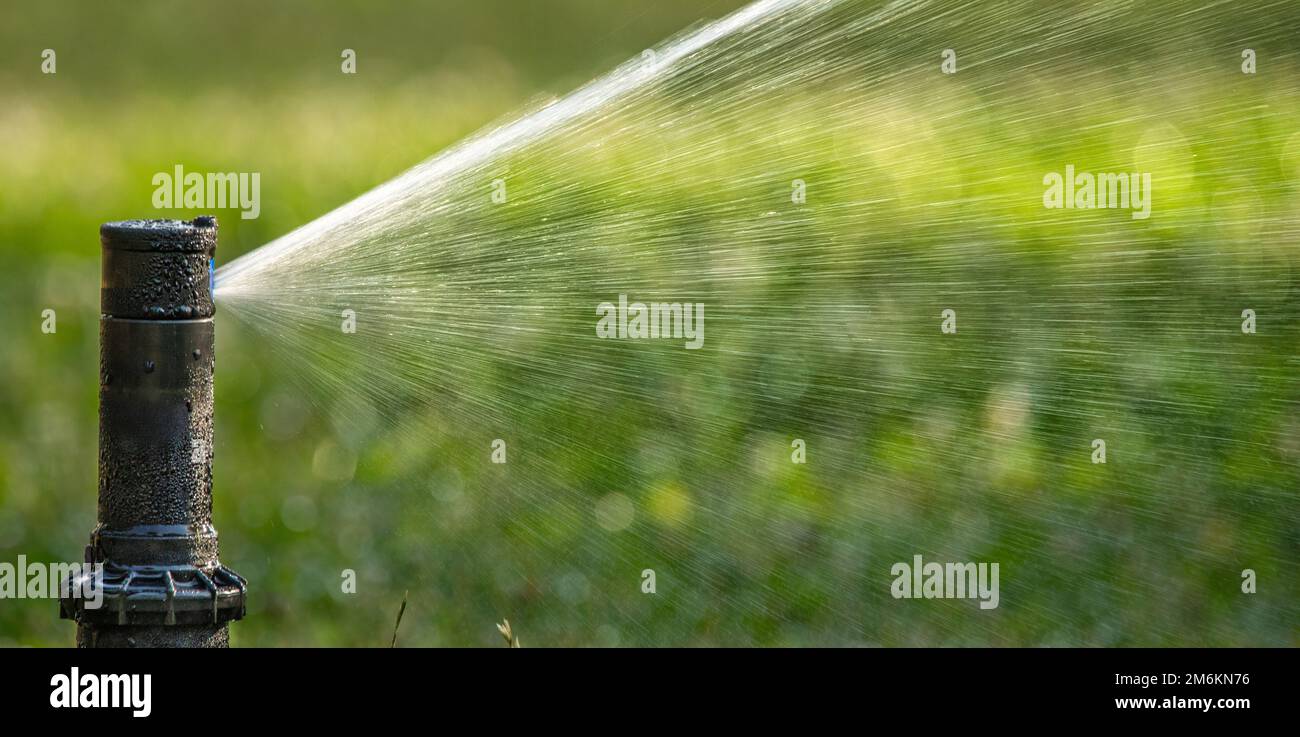 Automatic lawn watering system, watering the lawn in the backyard Stock ...