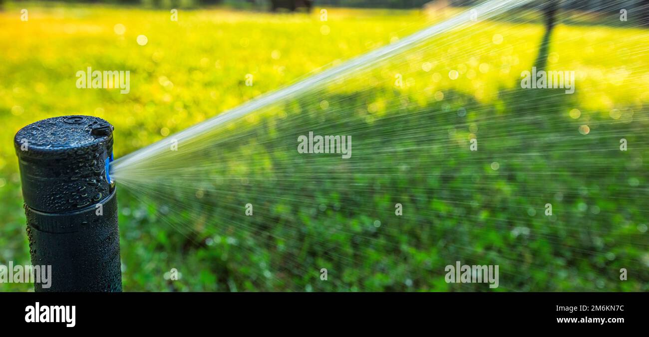 Automatic lawn watering system, watering the lawn in the backyard Stock ...