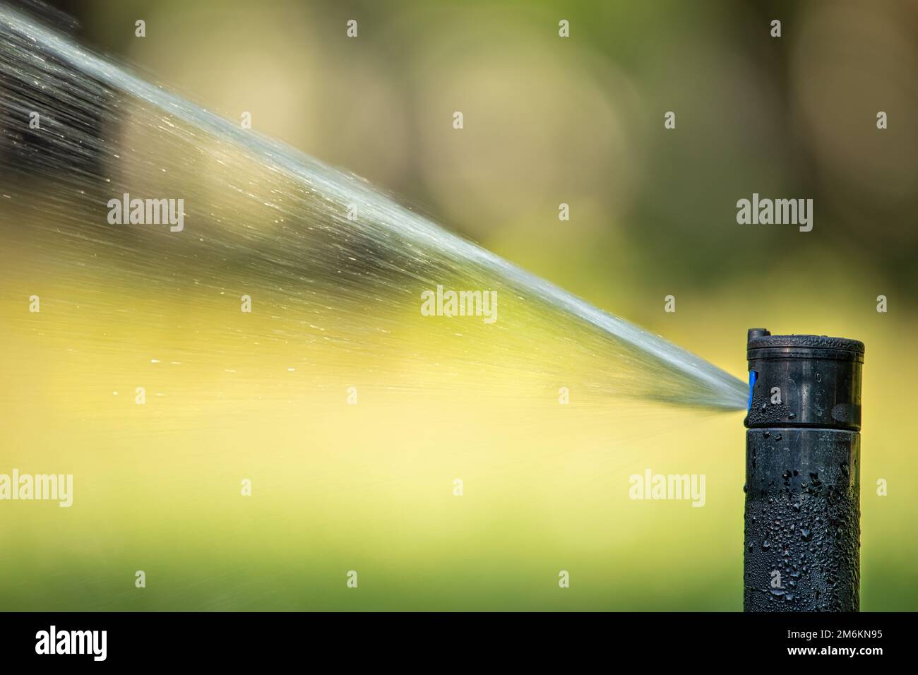 Automatic lawn watering system, watering the lawn in the backyard Stock ...