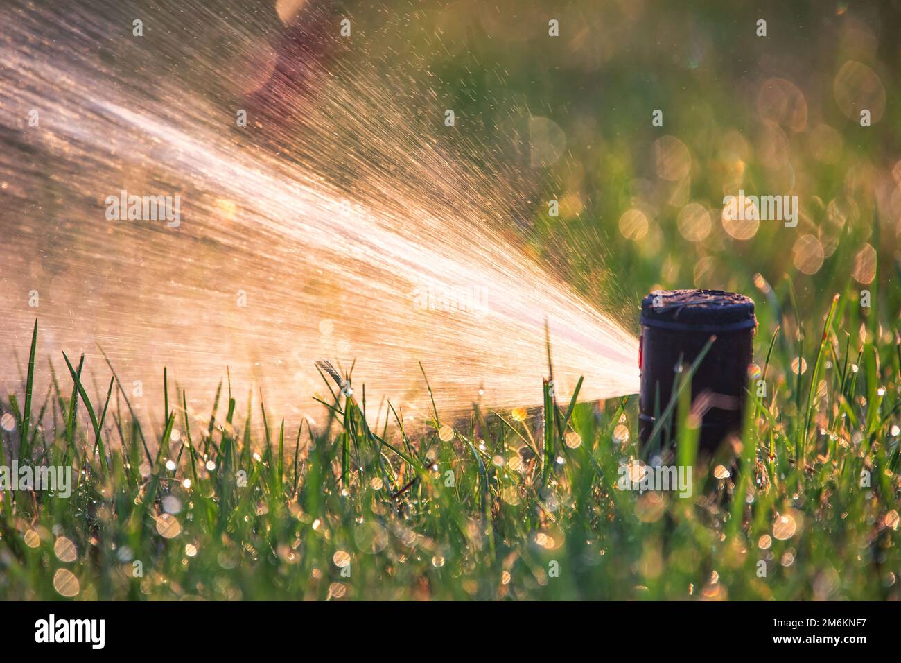 Automatic lawn watering system, watering the lawn in the backyard Stock ...