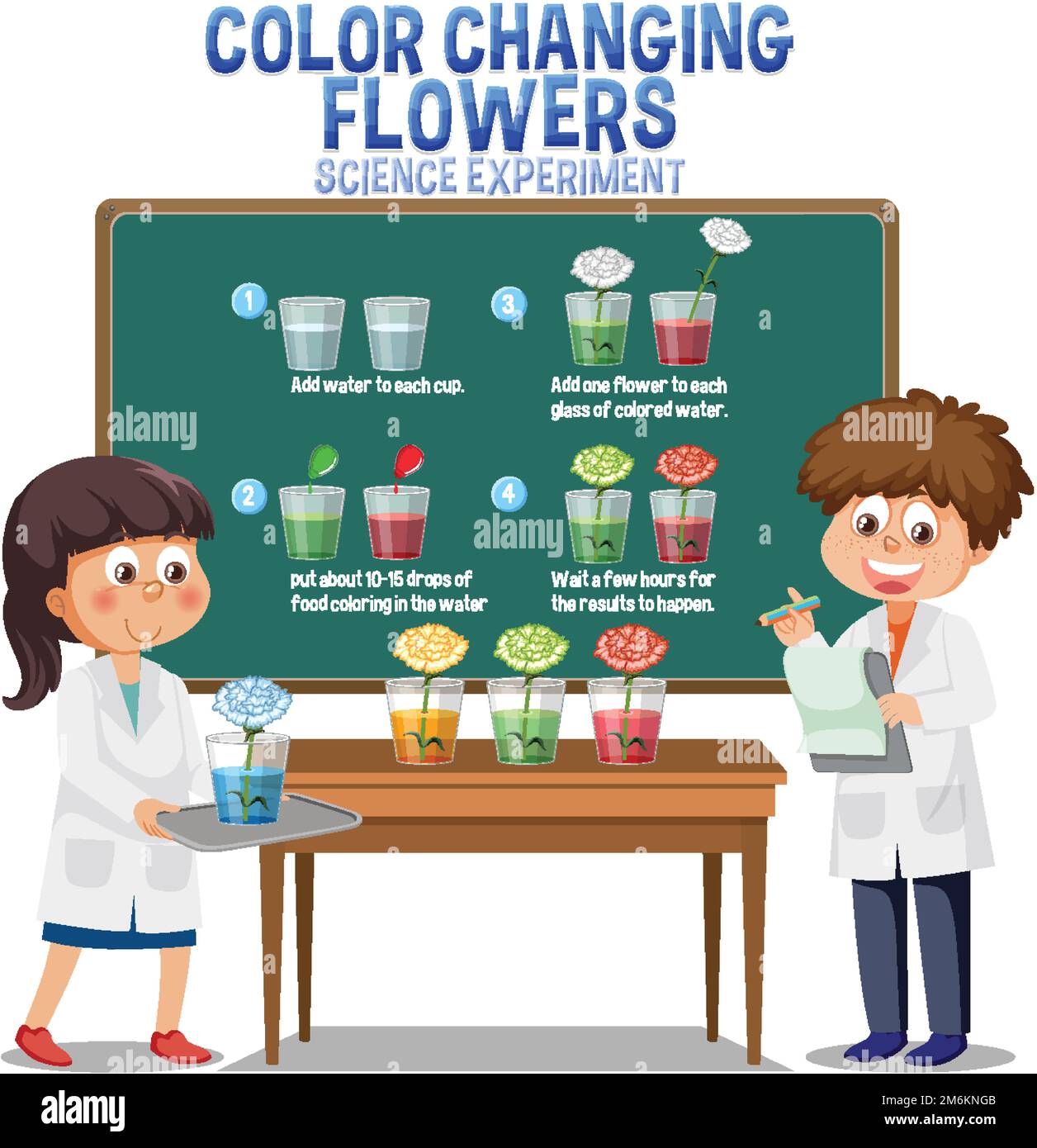 Color Changing Flowers Science Experiment illustration Stock Vector ...