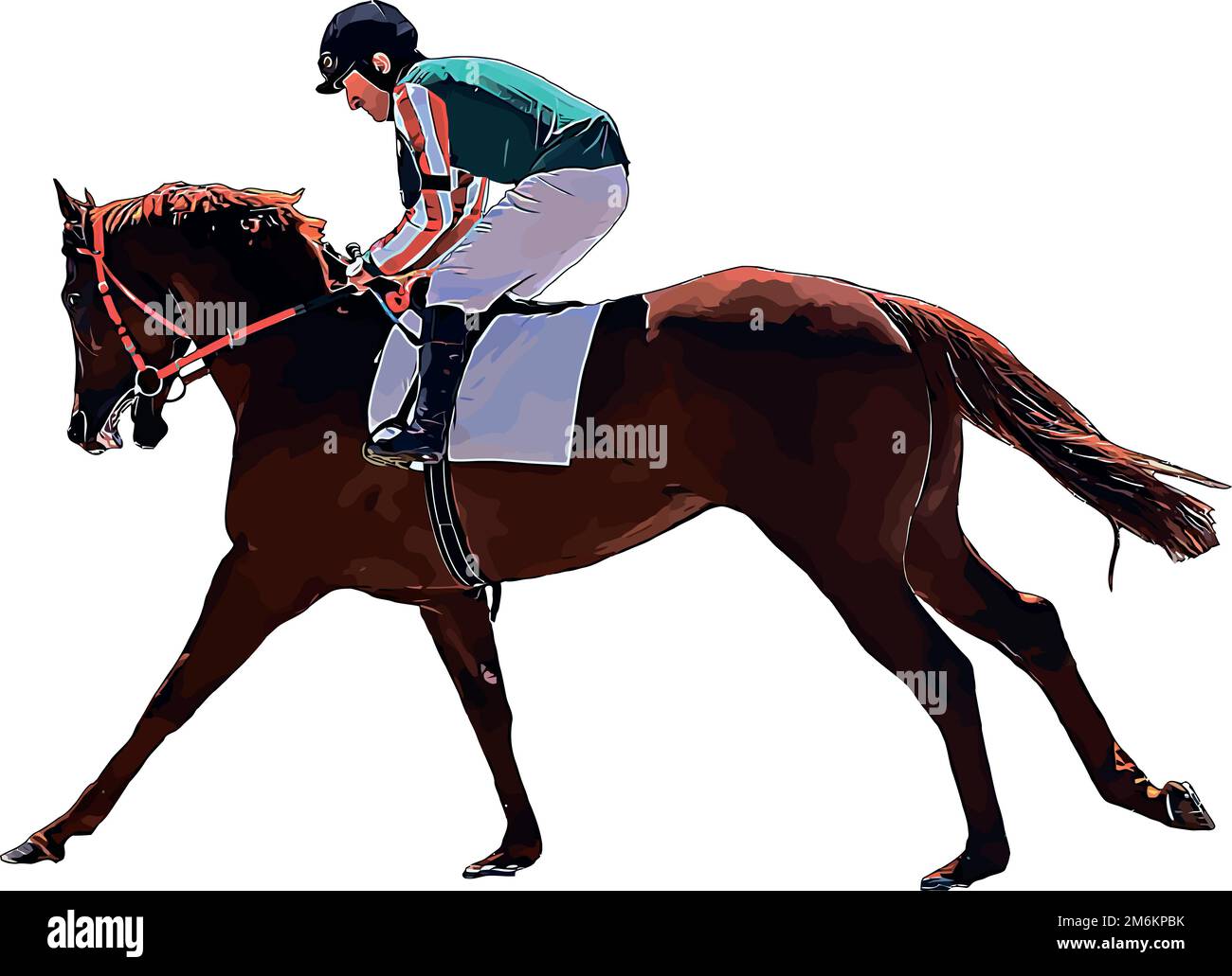Racehorse with jockey at races. Isolated on a white background Stock ...