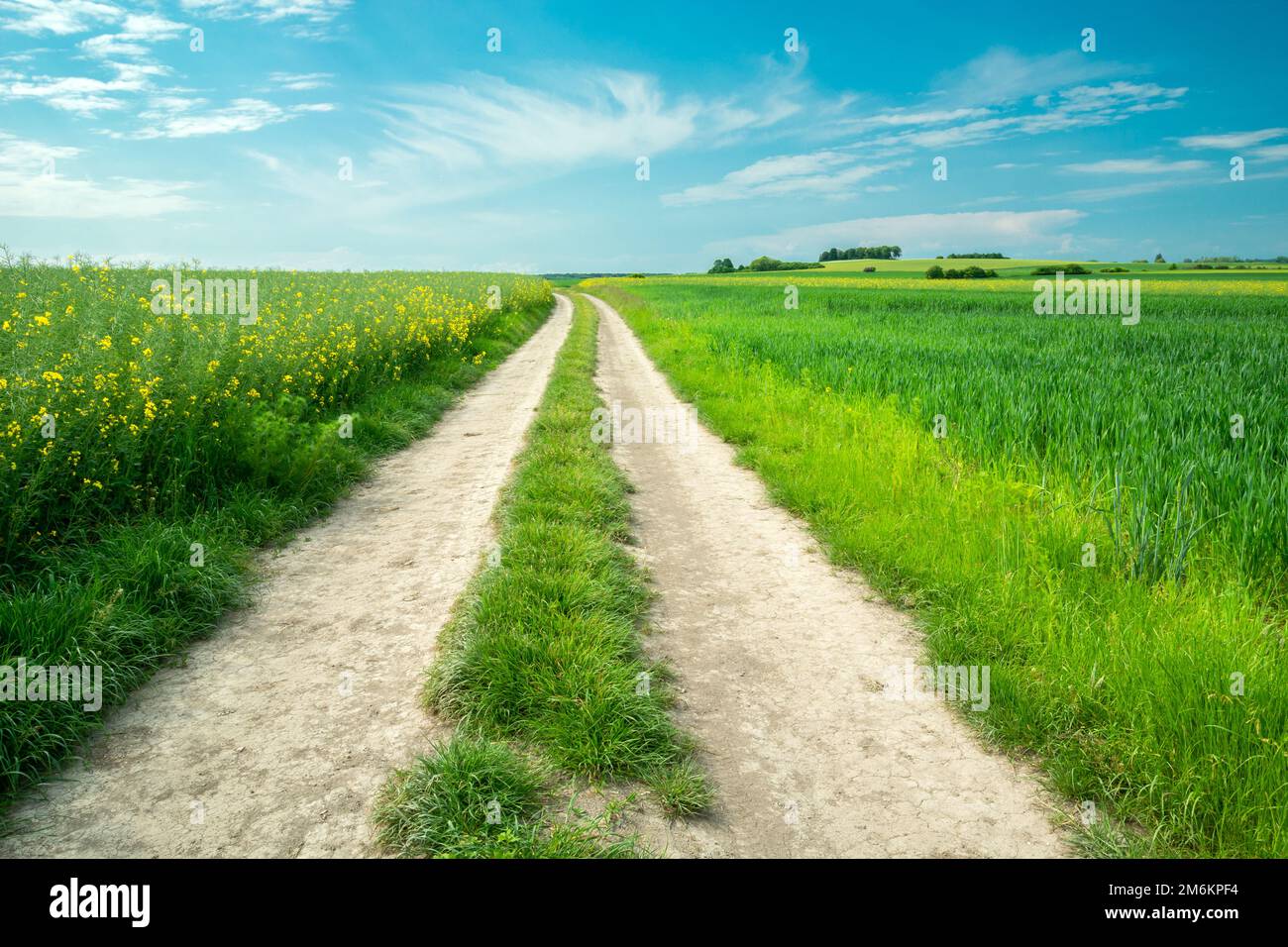 Rural road with green fields hi-res stock photography and images - Alamy