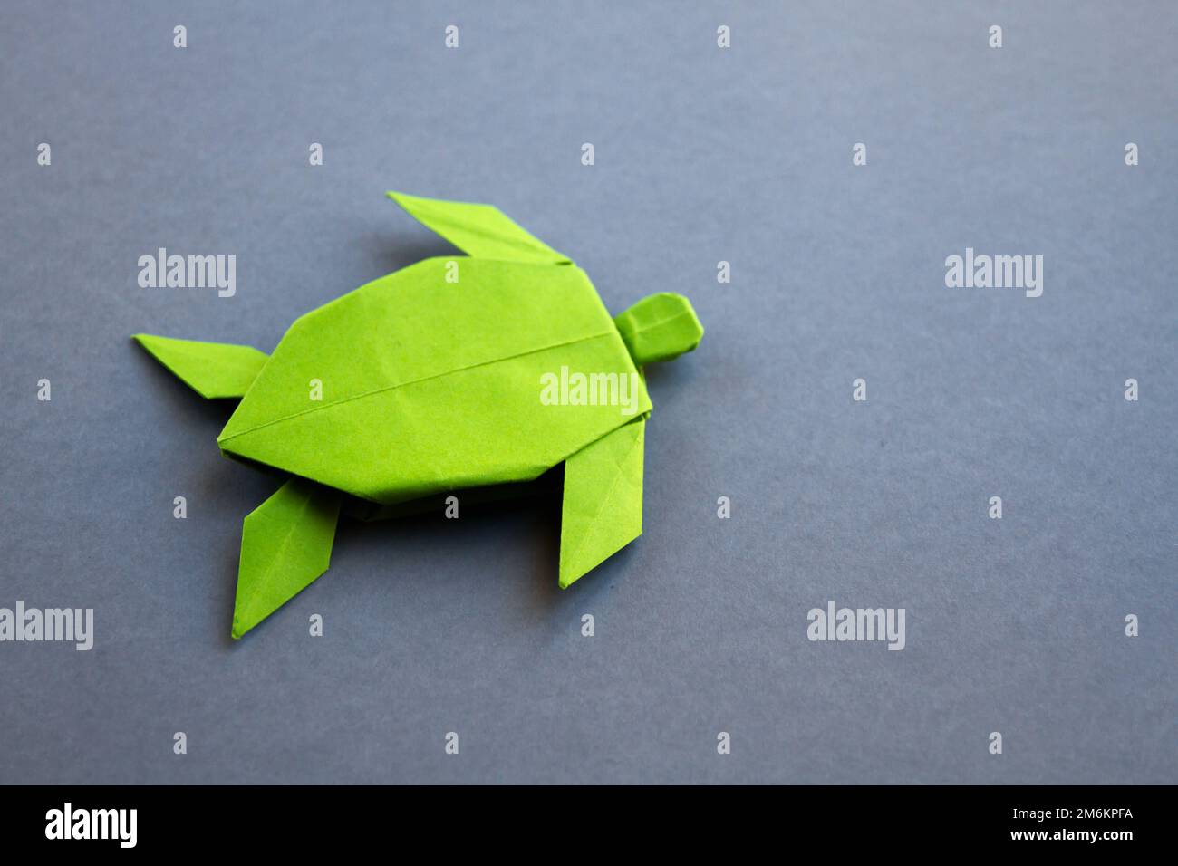 Green paper turtle origami isolated on a grey background Stock Photo ...