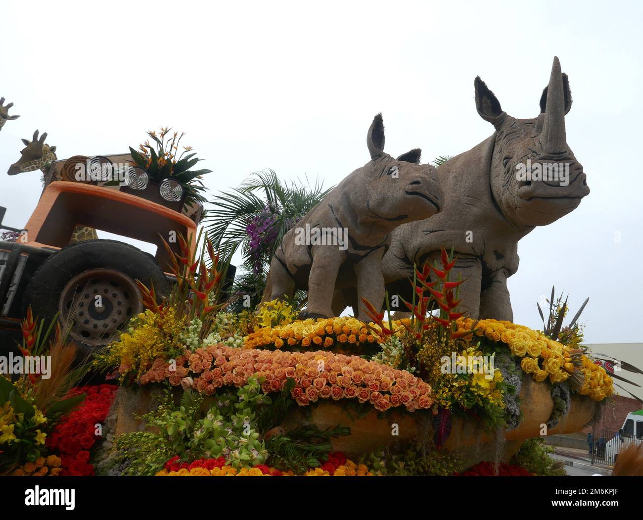 Pasadena, California, USA 3rd January 2023 San Diego Zoo Safari Park ...