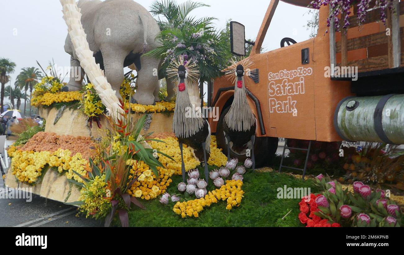 Pasadena, California, USA 3rd January 2023 San Diego Zoo Safari Park ...