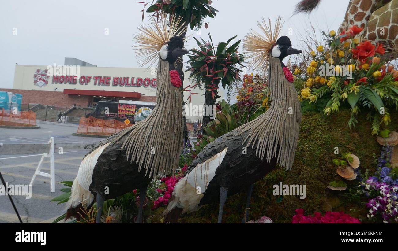 Pasadena, California, USA 3rd January 2023 San Diego Zoo Safari Park ...