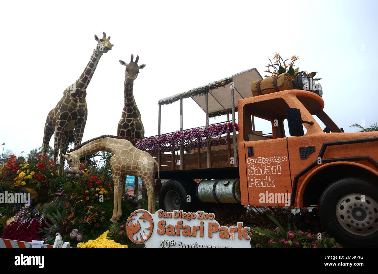 Pasadena, California, USA 3rd January 2023 San Diego Zoo Safari Park ...
