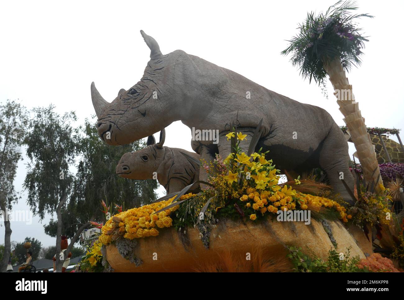 Pasadena, California, USA 3rd January 2023 San Diego Zoo Safari Park ...