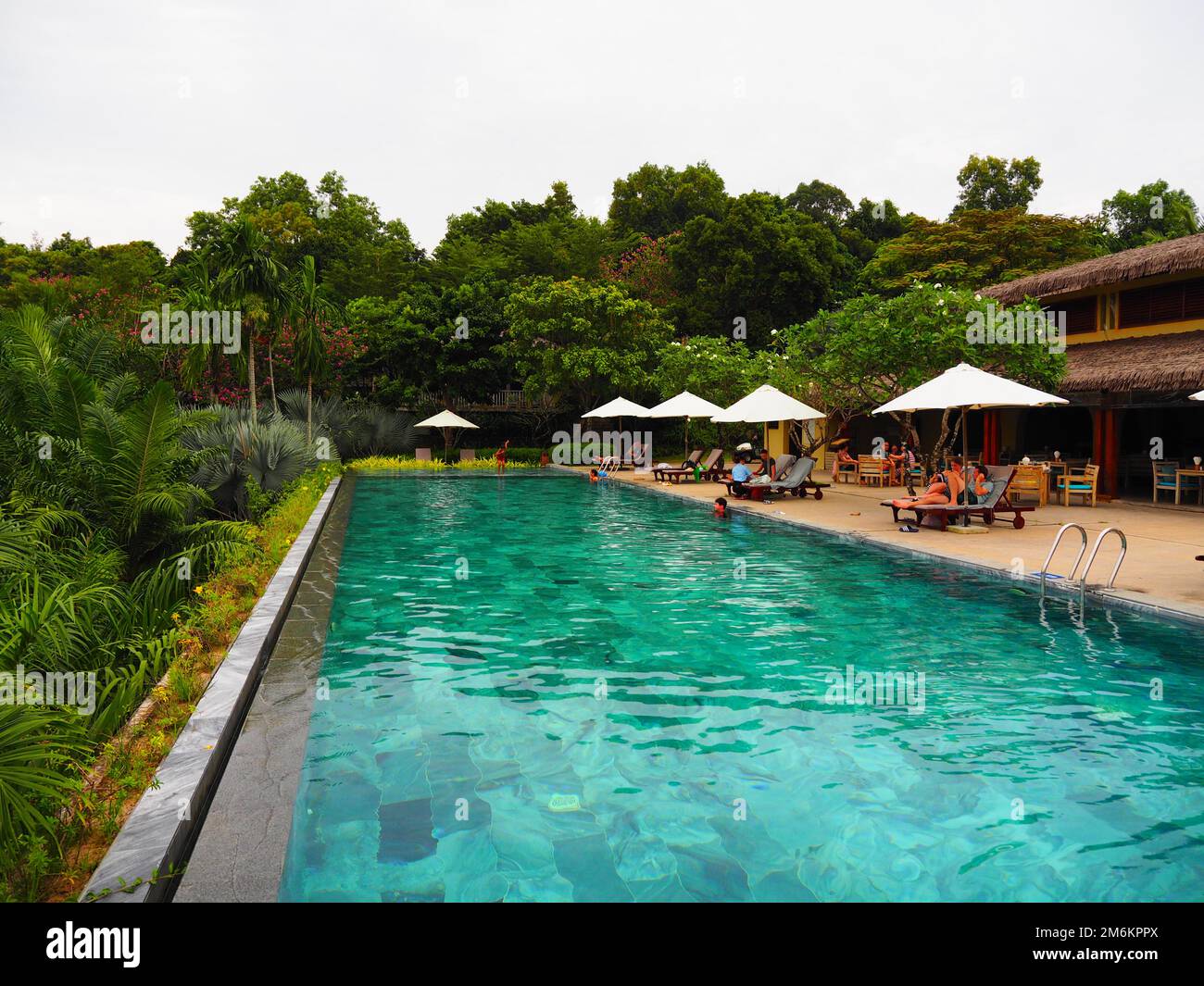 Infinity Pool with view in Jungle & Ocean, Wellness South East Asia # ...