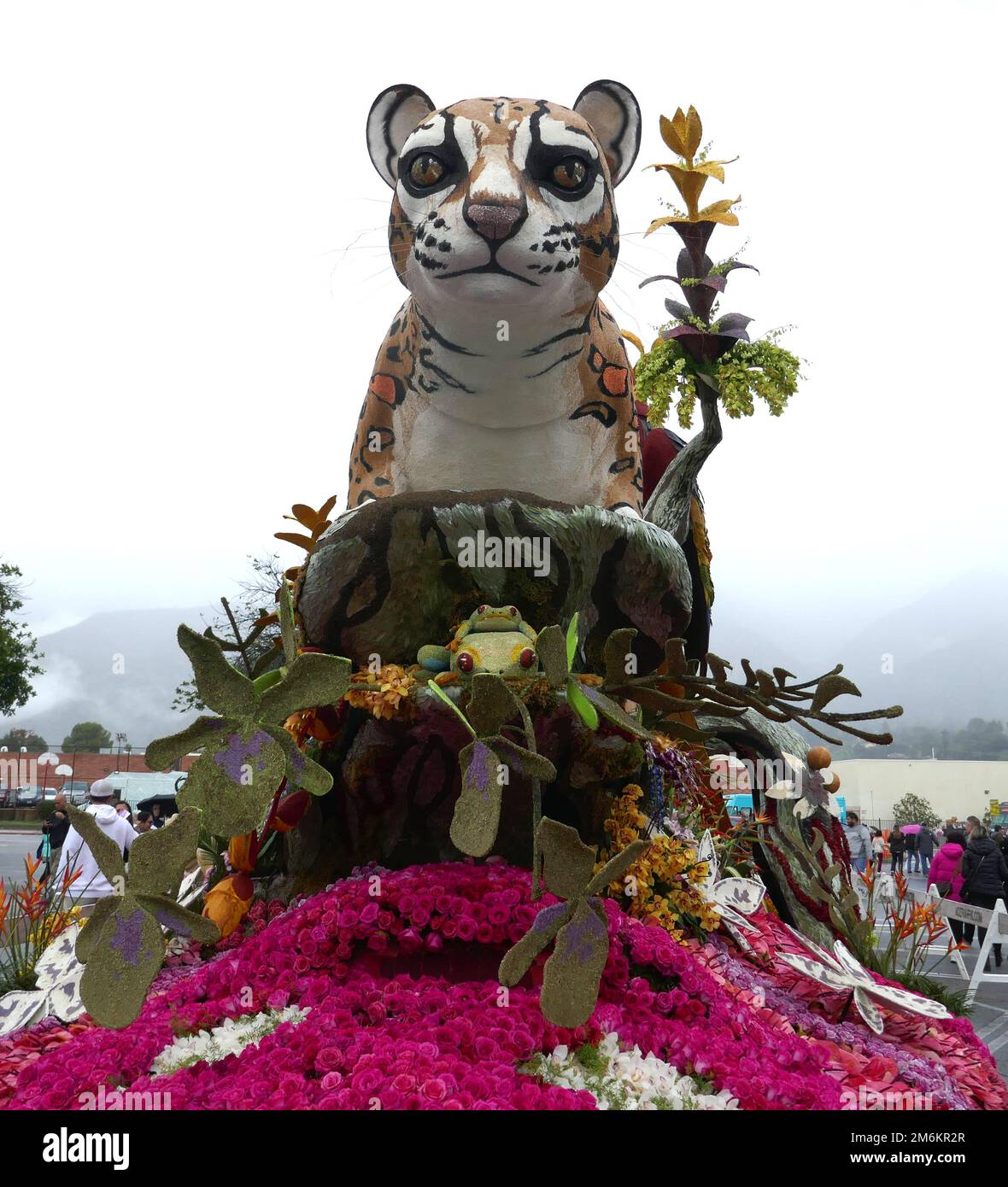 Pasadena, California, USA 3rd January 2023 Ocelot on Welcome to the ...