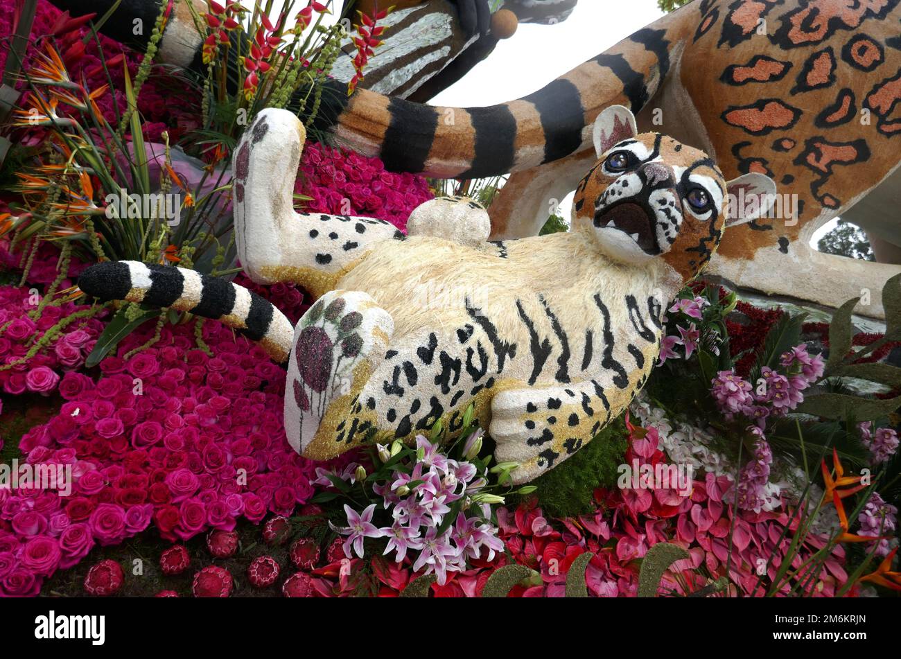 Pasadena, California, USA 3rd January 2023 Ocelot on Welcome to the ...