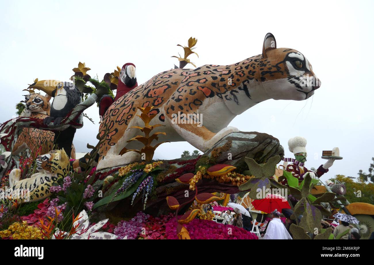 Pasadena, California, USA 3rd January 2023 Ocelots on Welcome to the ...