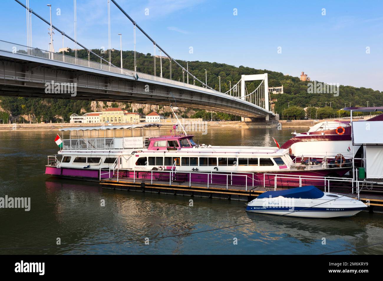 Elizabeth bridge and the Danube river in Budapest Stock Photo - Alamy