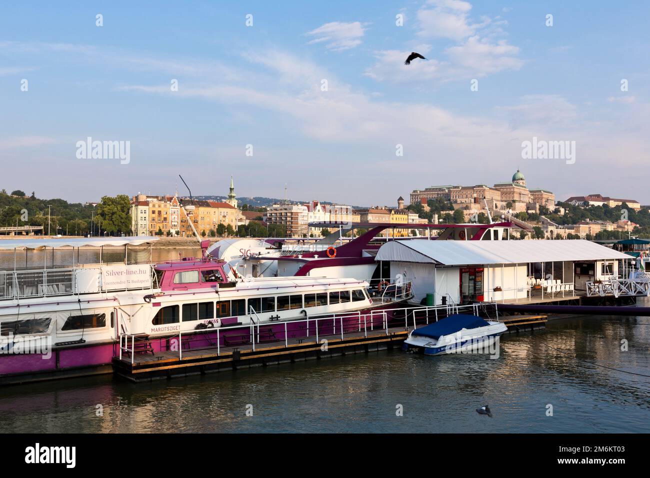 Elizabeth bridge and the Danube river in Budapest Stock Photo - Alamy