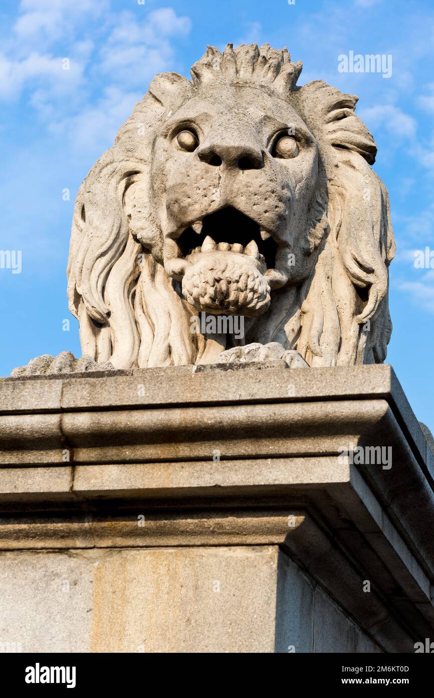 Budapest cheney chain bridge stone lions Stock Photo - Alamy