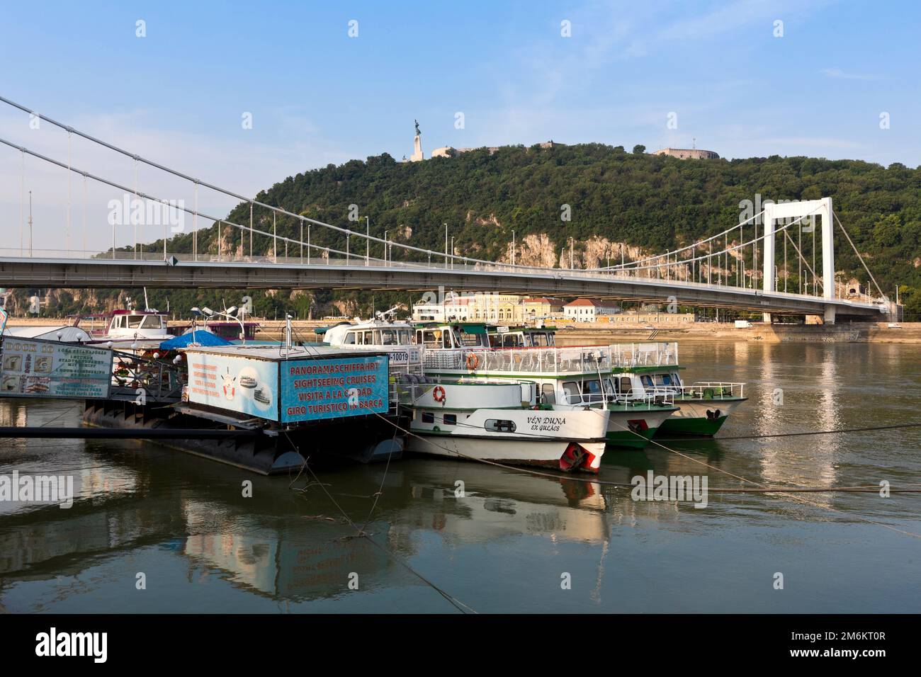 Elizabeth bridge and the Danube river in Budapest Stock Photo - Alamy
