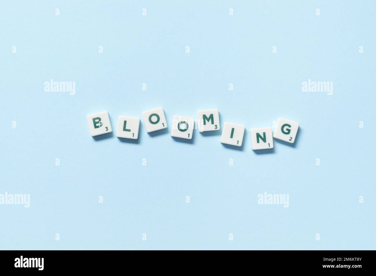 Blooming formed of scrabble tiles on blue background Stock Photo - Alamy