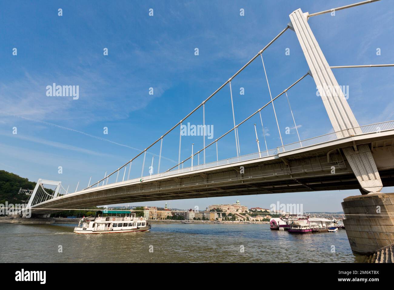 Budapest, Hungary, Elizabeth bridge and the Danube Stock Photo - Alamy