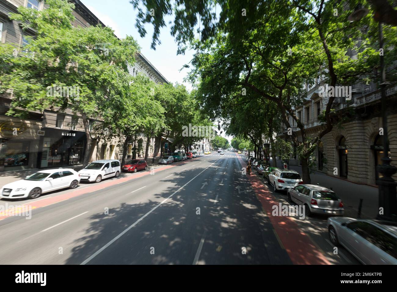 Budapest hungary tree lined hi-res stock photography and images - Alamy