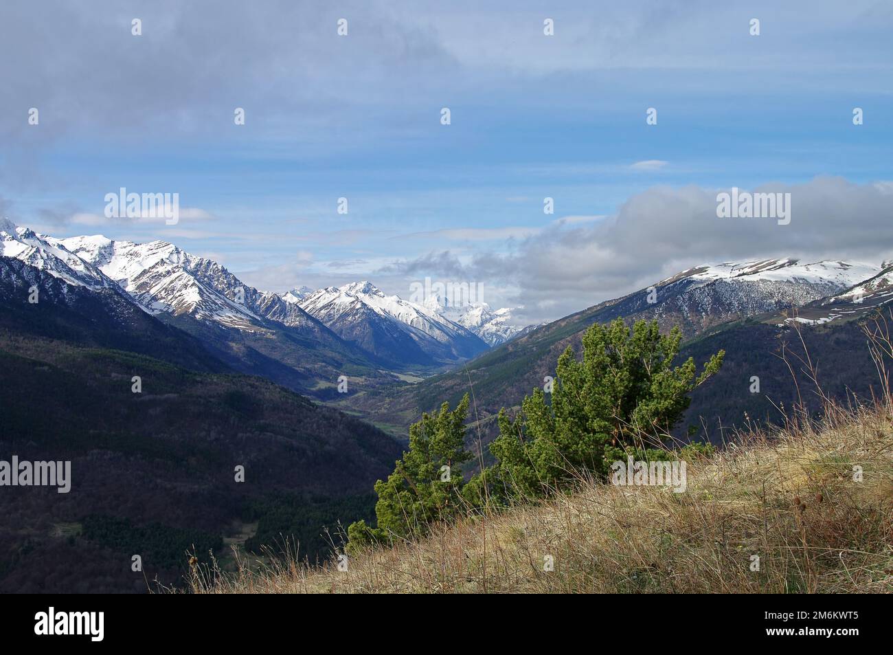 Ciscaucasia hi-res stock photography and images - Alamy