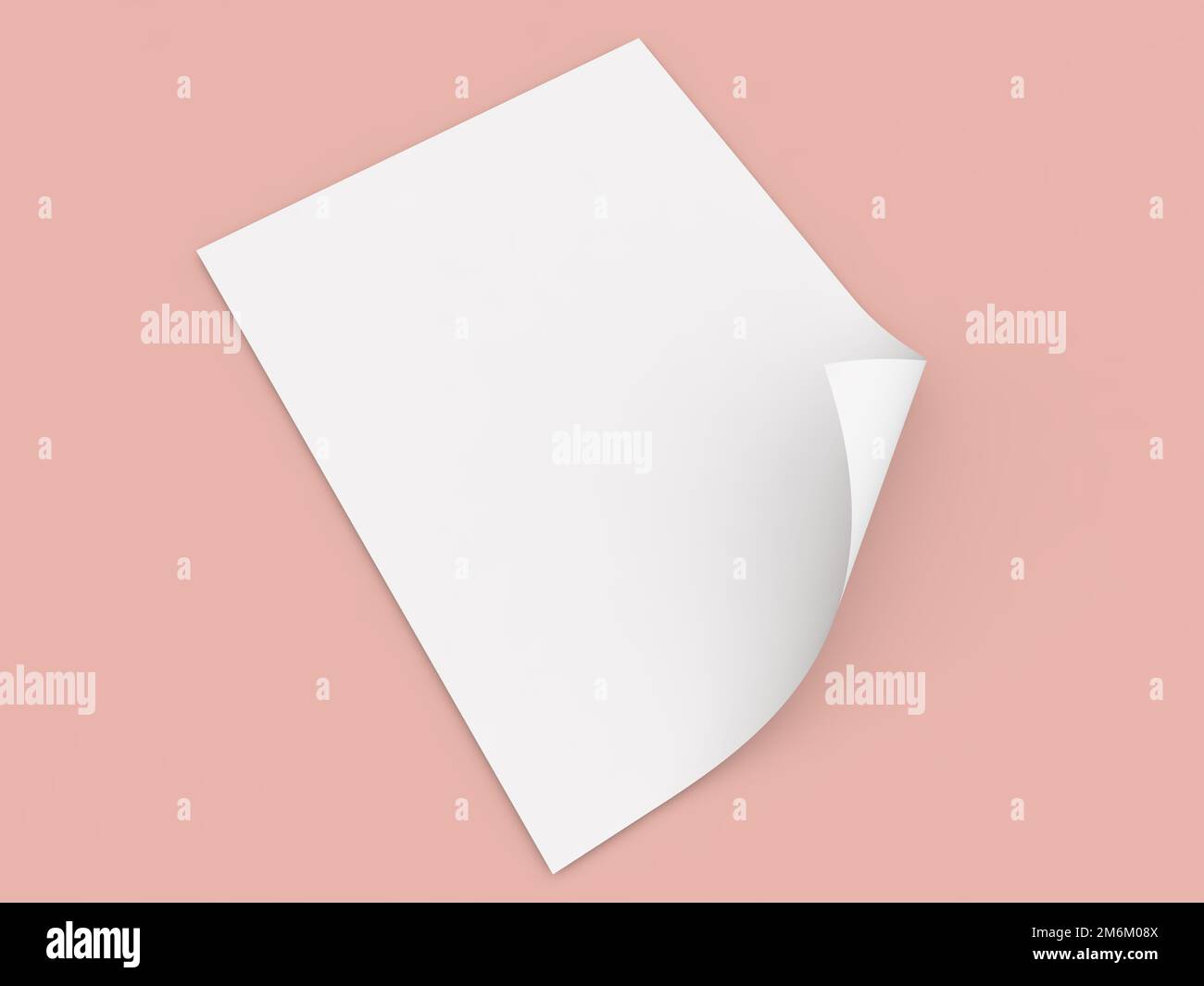 A sheet of A4 paper from a curled edge on a pink background. 3d render ...