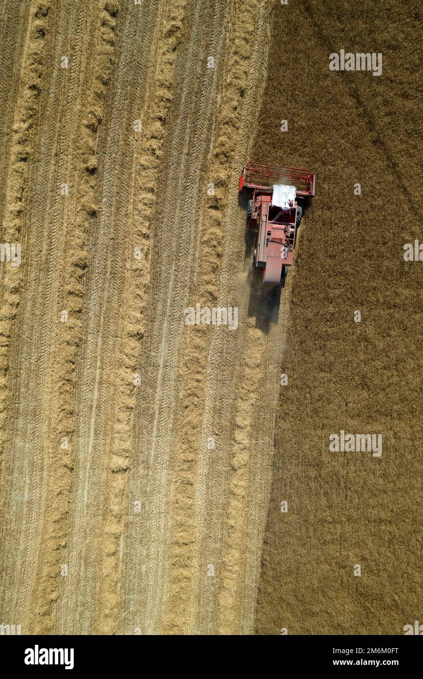 Harvester in work summer hi-res stock photography and images - Alamy